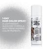 L'Oréal - Silver Colorista Hair Makeup Temporary 1-Day Spray | Ulta Beauty
