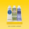Hand Cream Favorites Collection - L'Occitane | Ulta Beauty