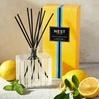Amalfi Lemon & Mint Reed Diffuser - NEST New York | Ulta Beauty