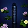 Caviar Anti-Aging Professional Styling Perfect Texture Spray - Alterna ...