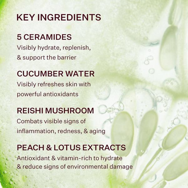 PEACH & LILY - 1.35 oz Glass Skin Veil Mist | Ulta Beauty