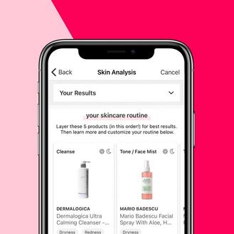 The following text field filters the results for suggestions as you ...